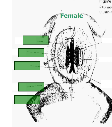 Untitled Document [www.zeitzer.com]